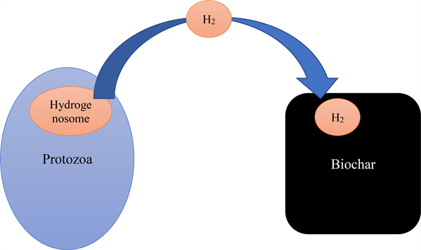 Biochar’s Electrochemical Properties Impact on Methanogenesis: Ruminal ...