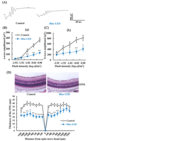 The Effects of Blue LED Light on Behavior and Retinal Function in ...