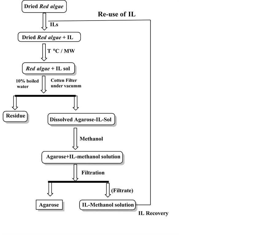 Efficient Extraction of Agarose from Red Algae Using Ionic Liquids