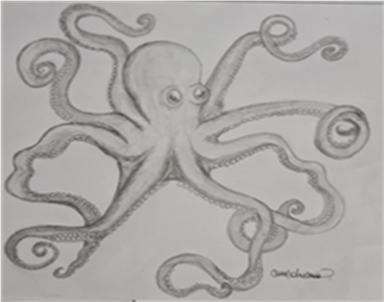 The Healthy Adult in Schema Therapy: Using the Octopus Metaphor