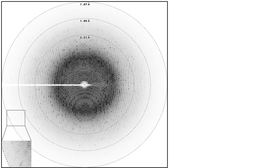Xray Powder Diffractionexposing The Bare Bones Of Solid