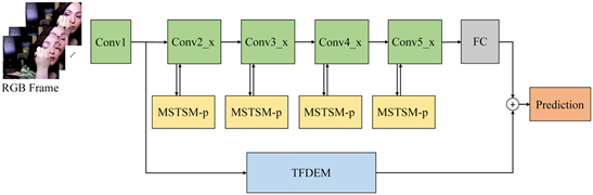 Action Recognition Using Multi Scale Temporal Shift Module And Temporal Feature Difference
