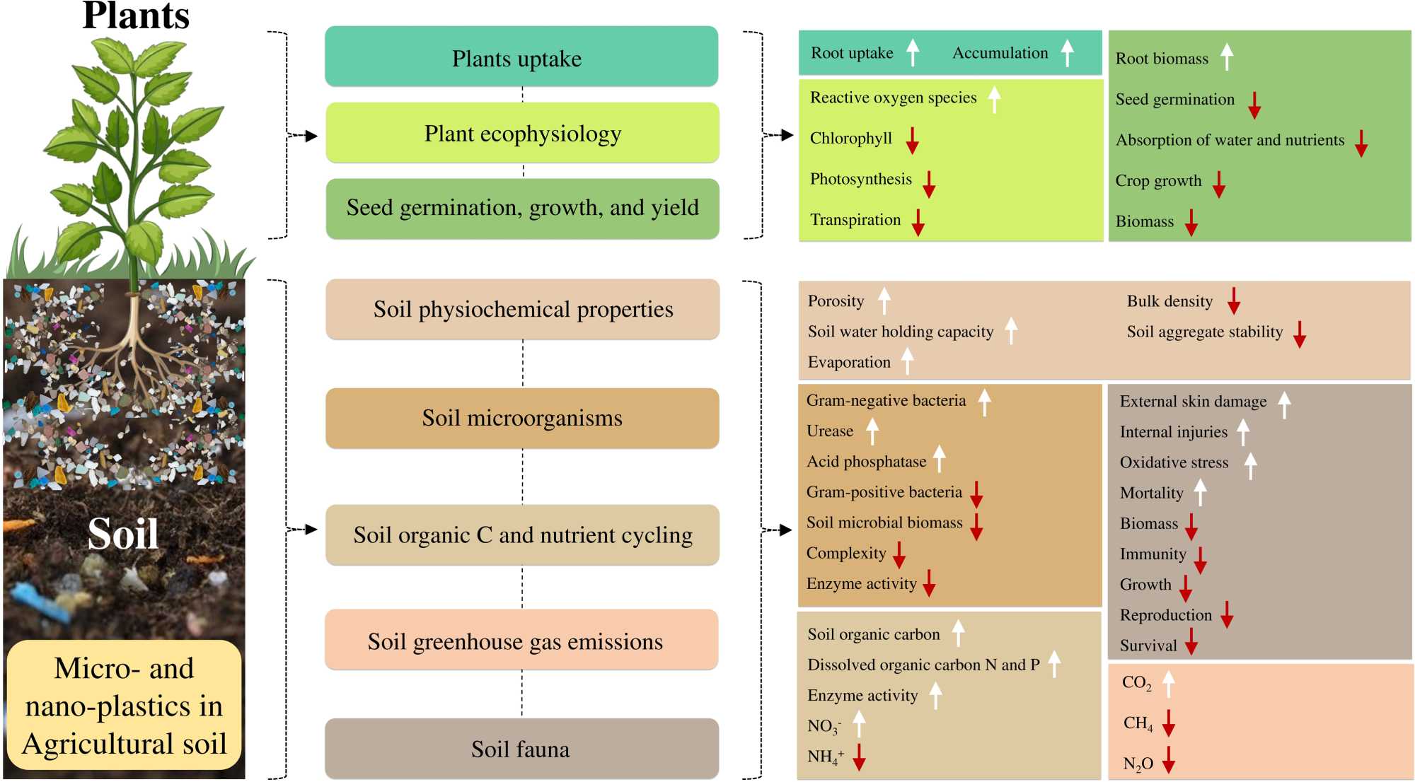 Impacts of Micro- and Nano-Plastics on Soil Properties and Plant Production in Agroecosystems: A ...