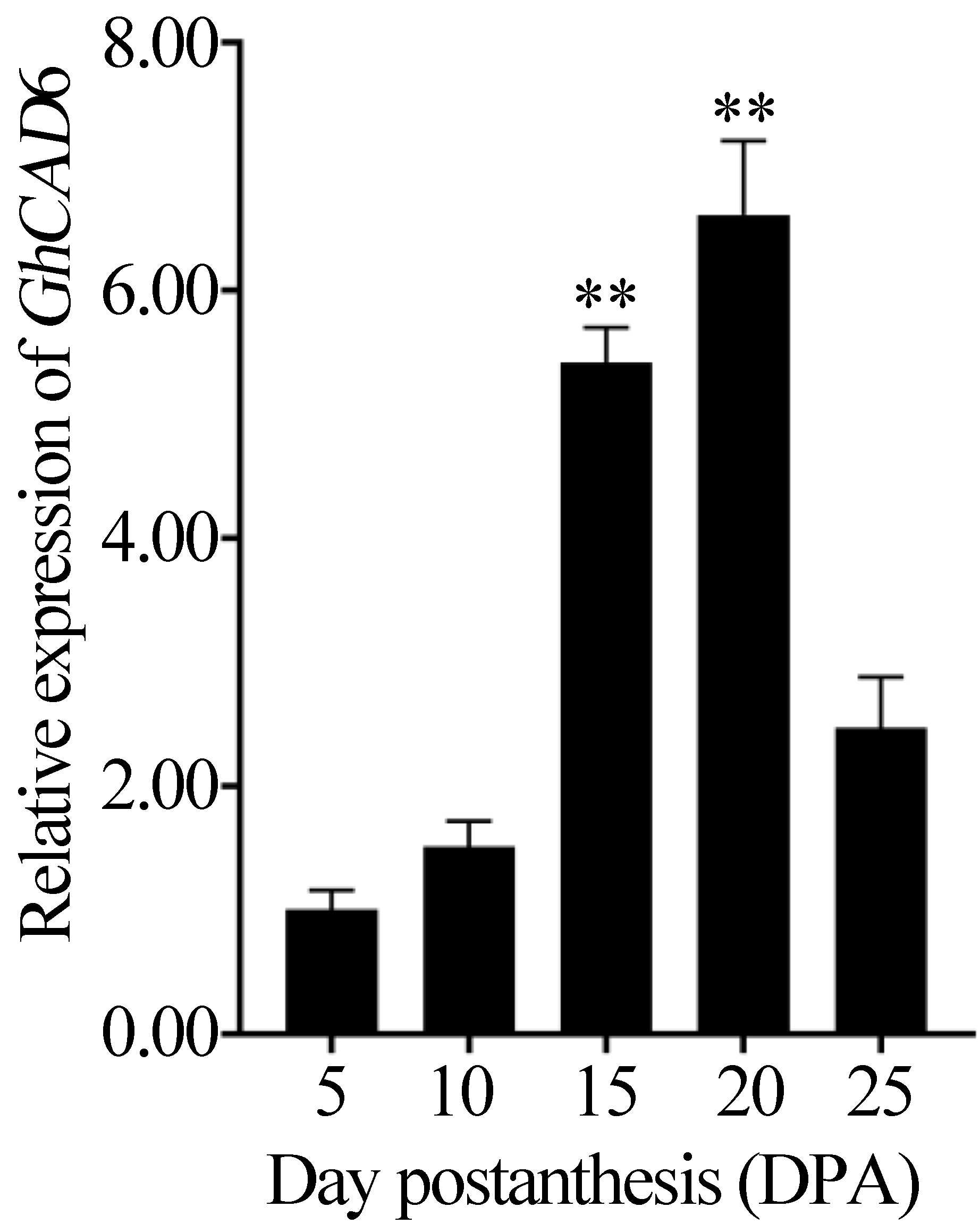 The Cotton Cinnamyl Alcohol Dehydrogenase 6 Functions in Developing ...