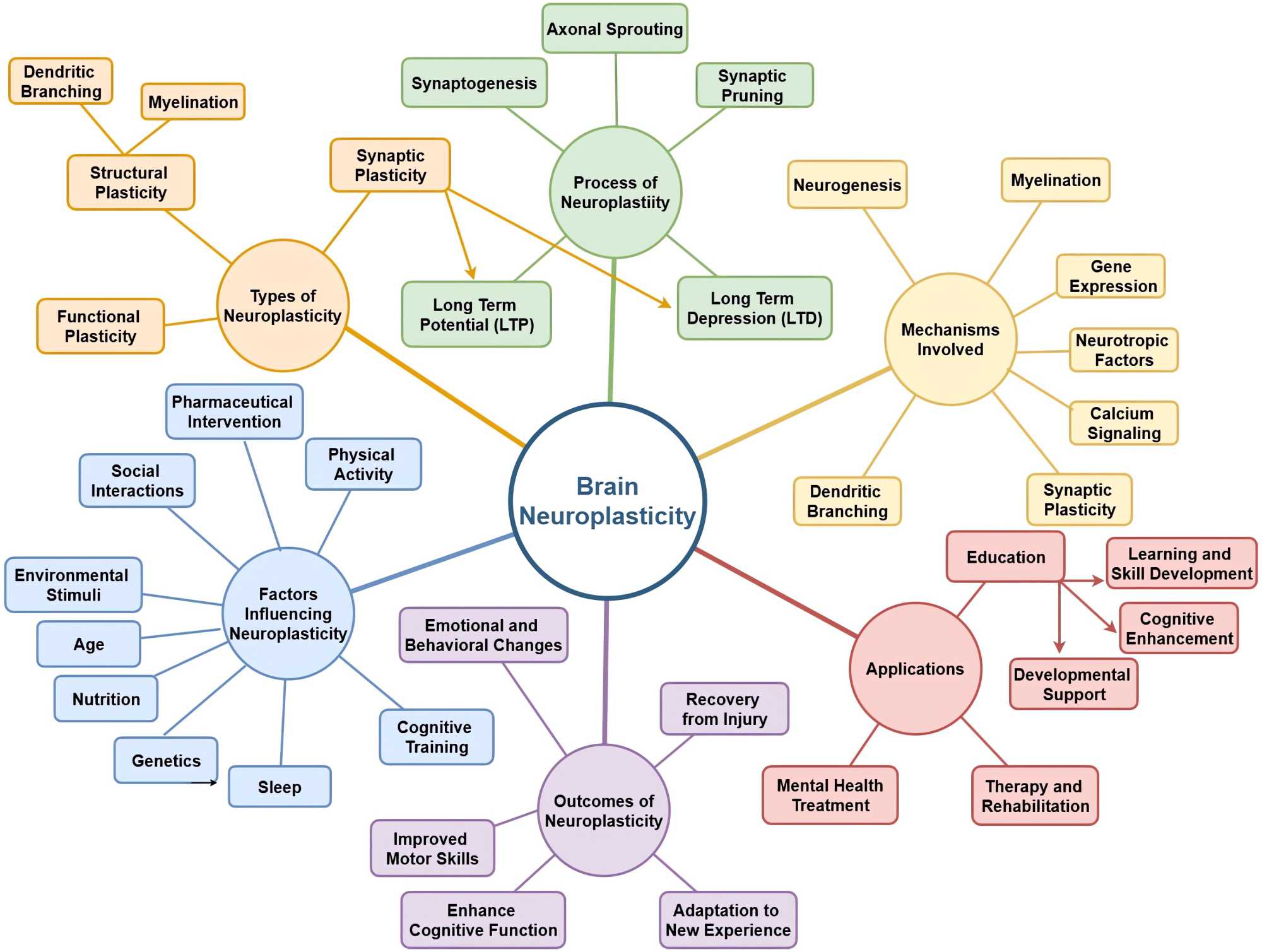 The Exciting Frontier of Neuroplasticity: Innovations in Brain Health ...
