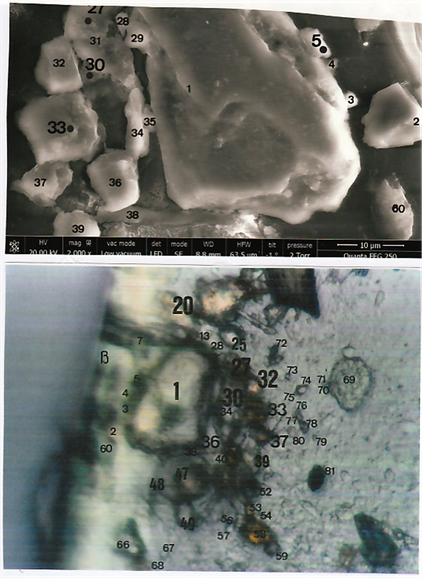 Iron-Rich Red Clays on the Turin Shroud: Optical Microscopy Studies and ...