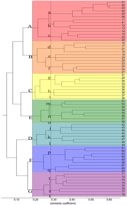 The Bio-Geographical Regions Division of Global Terrestrial Animal by ...