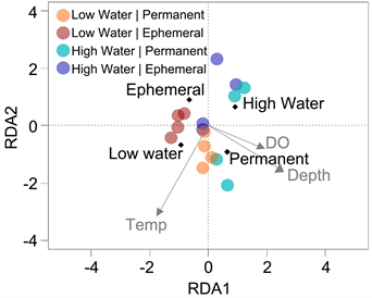 Inference of Fish Community Assembly in Intermittent Rivers Using Joint ...