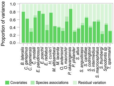 Inference of Fish Community Assembly in Intermittent Rivers Using Joint ...