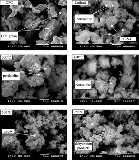 Effect of High Temperatures on the Microstructure of Cement Paste