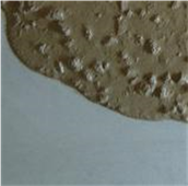 An Experimental Study of Self-Compacting Concrete Made with Filler from ...