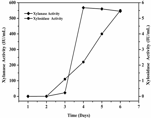Production of Xylanase and β-Xylosidase Enzymes by Pseudozyma hubeiensis in Solid State Fermentation