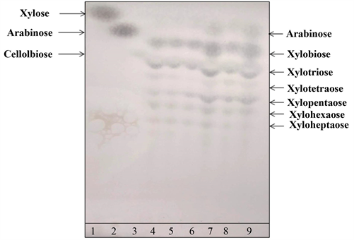 Production of Xylanase and β-Xylosidase Enzymes by Pseudozyma hubeiensis in Solid State Fermentation