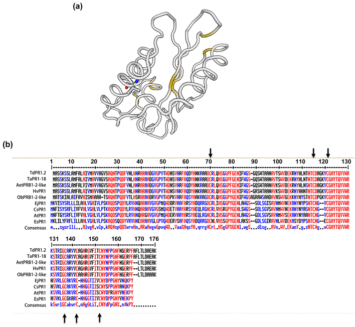 The Wheat Pathogenesis Related Protein (TdPR1.2) Ensures Contrasting ...