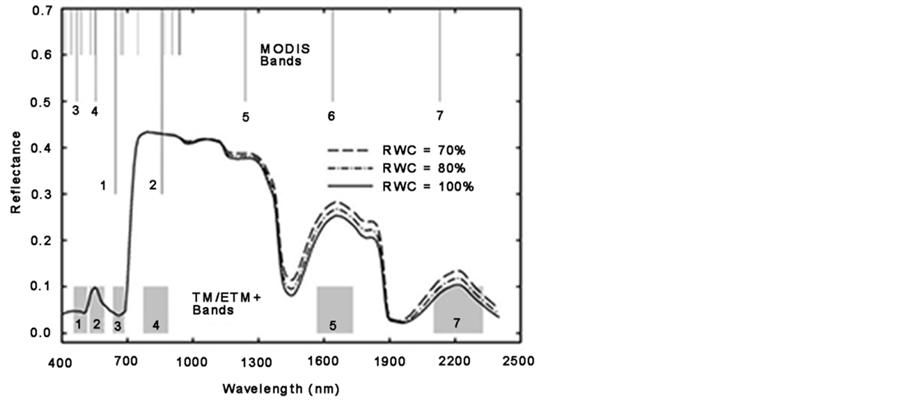 Quality Assessment of MODIS Time Series Images and the Effect on ...