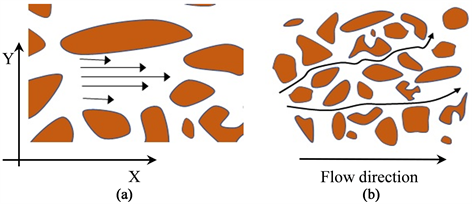 Two-Dimensional Continuous Model in Bimolecular Reactive Transport
