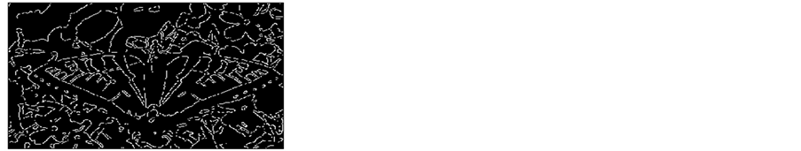 Edge Detection with a Preprocessing Approach