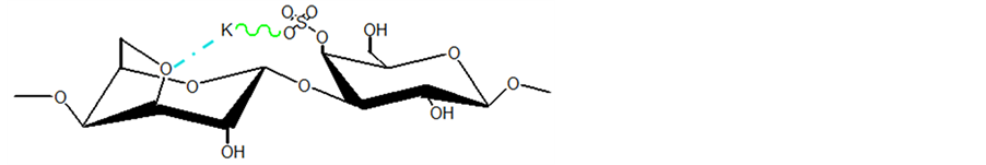 The Principle of Polysaccharide Gels