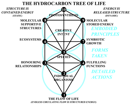 Achieving Sustainability