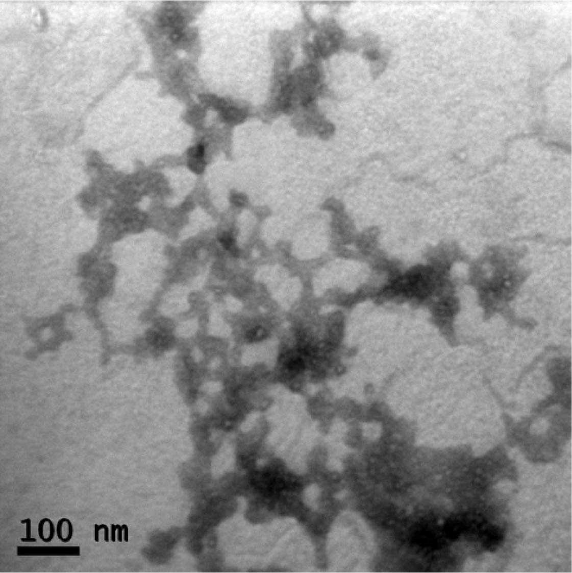 Nanoparticles Sampling inside the International Space Station