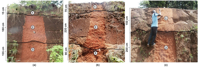 Mobility of Major and Trace Elements during the Bauxitization Processes ...