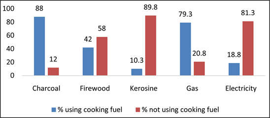 Analysis of Household Use of Traditional Fuels and Possible ...