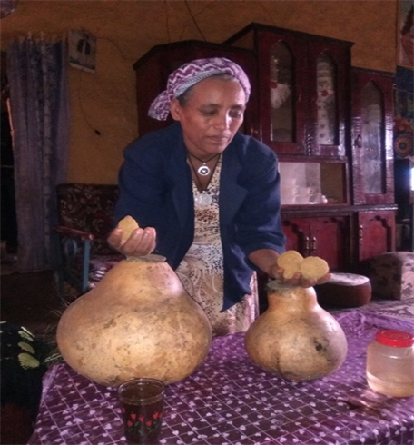 Handling, Processing, Utilization and Marketing of Ayib (Ethiopian ...