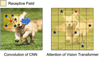 Image Classification Based on Vision Transformer