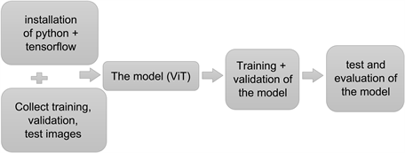 Image Classification Based on Vision Transformer