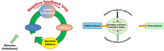 Exploring Biocomplexity in Cancer: A Comprehensive Review