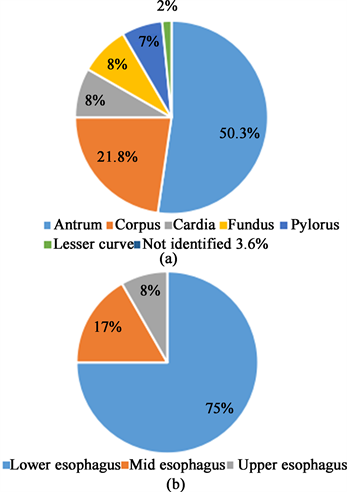 Upper Gastrointestinal Cancers in Rwanda: Epidemiological, Clinical and ...