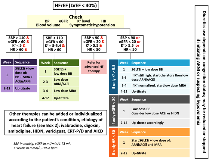 Management of Heart Failure with Reduced Ejection Fraction Globally and ...