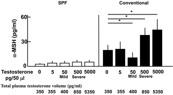 Regulation of α-Melanocyte-Stimulating Hormone by Testosterone Is ...