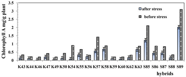 Selection of Tolerant of Some Citrus Hybrids F1 to Calcareous Stress and Identification Sexuall ...
