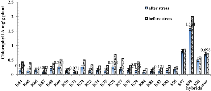 Selection of Tolerant of Some Citrus Hybrids F1 to Calcareous Stress and Identification Sexuall ...