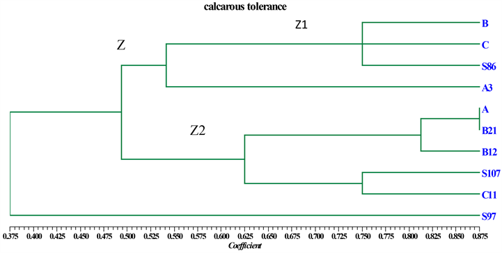 Selection of Tolerant of Some Citrus Hybrids F1 to Calcareous Stress and Identification Sexuall ...