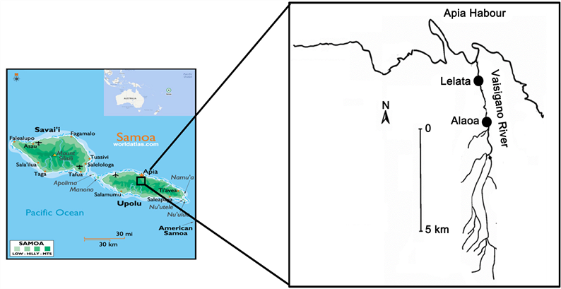 Preliminary Assessment of Heavy Metals in Soil along the Vaisigano ...