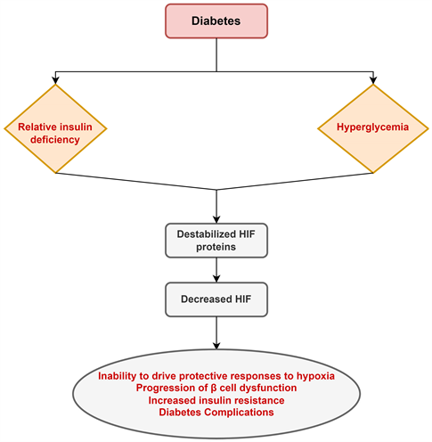 Destabilization of HIF-1a by Diabetes, Oxidative Stress, Obesity and ...