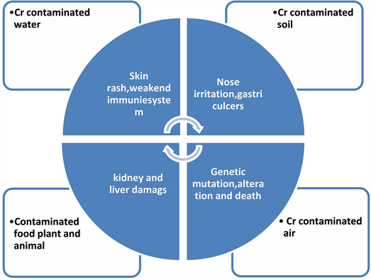 Effective Elimination of Hazardous Chromium (VI) Using Periodic ...