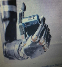 Evolution of Life Forms in Our Universe