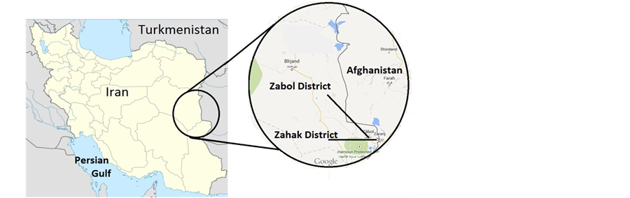 Molecular Detection of Anaplasma and Ehrlichia Infection in Ticks in ...