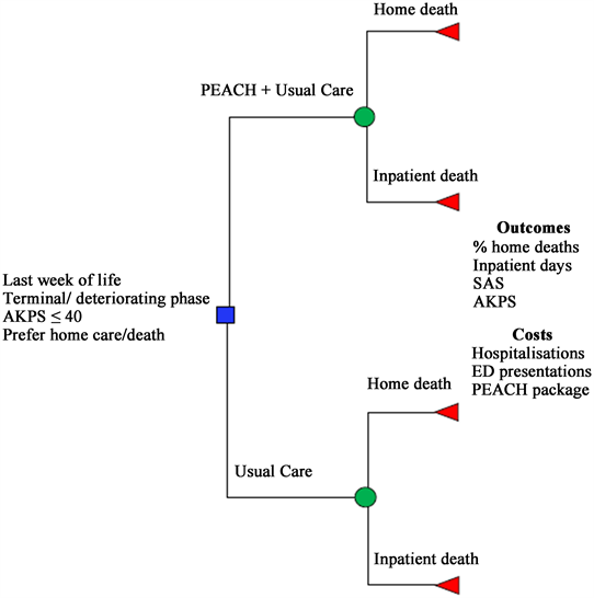 Economic Evaluation of the Palliative Care Home Support Packages Program