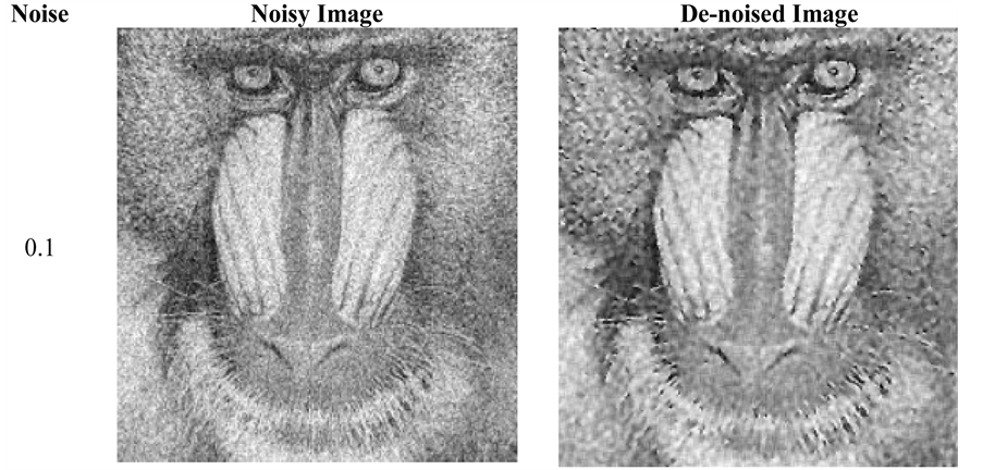 Metaheuristic Based Noise Identification And Image Denoising Using Adaptive Block Selection