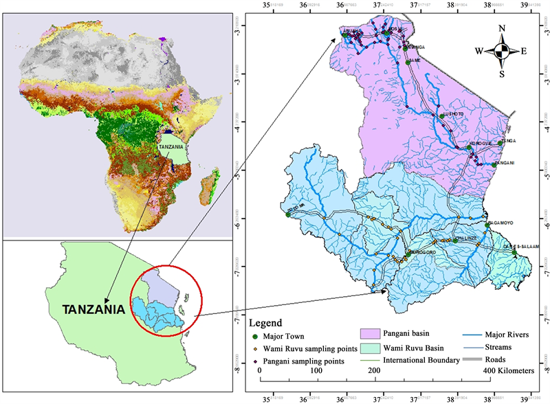 Simple and Cost-Effective Biomonitoring Method for Assessing Pollution ...