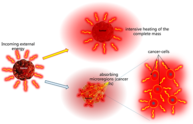 On the Thermal Distribution in Oncological Hyperthermia Treatments