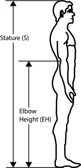 An Ergonomic Approach for Designing of an Industrial Trolley with ...