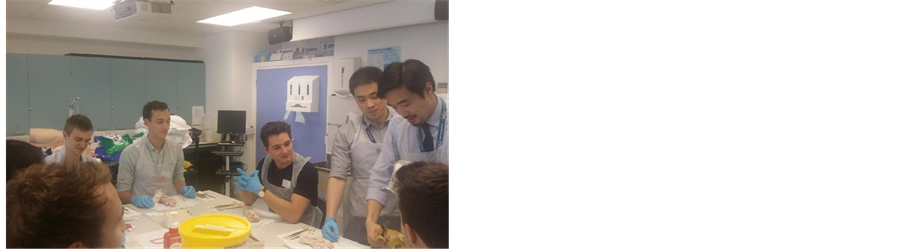 Improving Confidence and Practical Skills in Plastic Surgery for ...