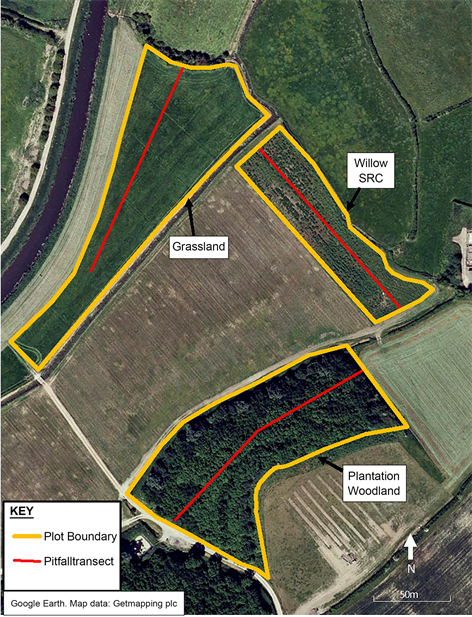 The Effect of Willow Short Rotation Coppice Cultivation on the ...