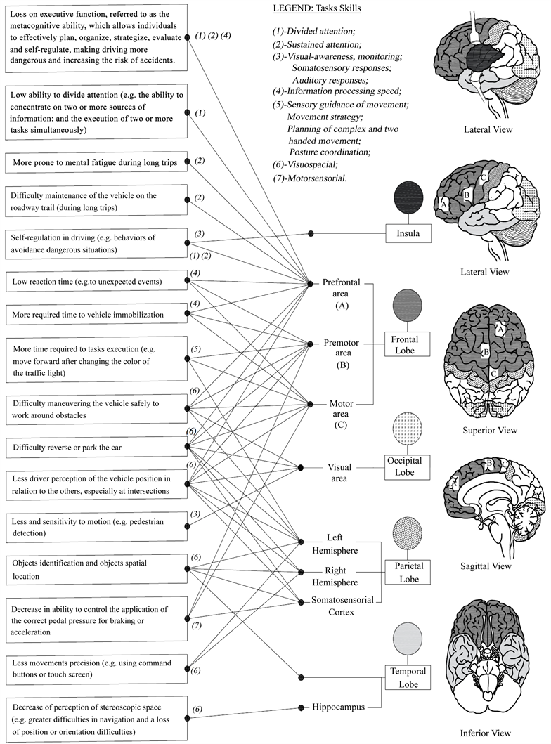 Neuropsychological Aspects of Aging and Driving for Inclusive ...