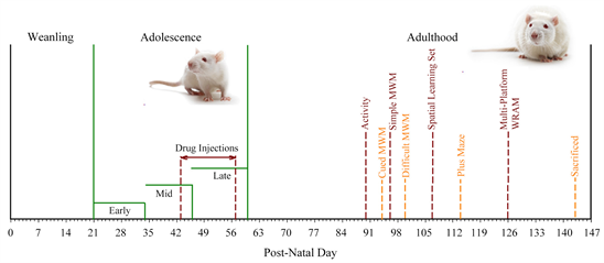 Neuropsychological Assessment of Learning and Memory in Rats Following ...